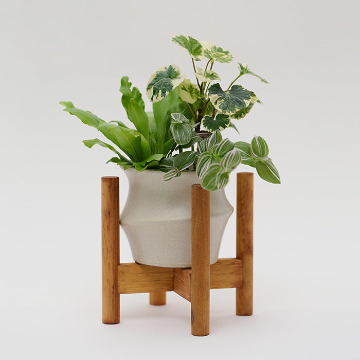 Screw Pot 個性的な陶器製の器｜土を使わない観葉植物 – &Green